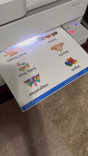 Toy Bin Labels, Editable Toy Storage, Class Organization, Class Supply ...