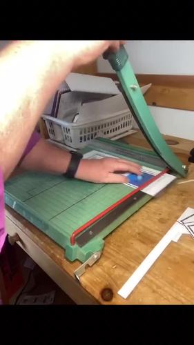 INTERDEPENDENT ANIMAL RELATIONSHIPS Matching Sort GAME Cards -Symbiosis ...