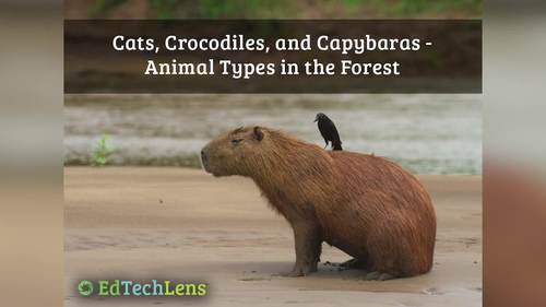 Animals Grow, Adapt, Survive, and Interact in a Rainforest Ecosystem ...