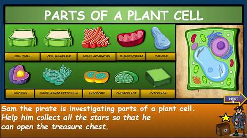 Parts Of A Plant Cell: Interactive Google Slides + PPT + Worksheet