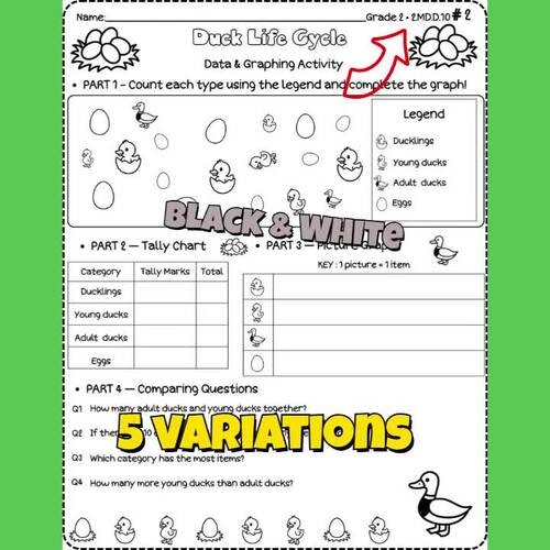 Duck Life Cycle, Data and Graphing Worksheets 1st & 2nd Grade Math Science