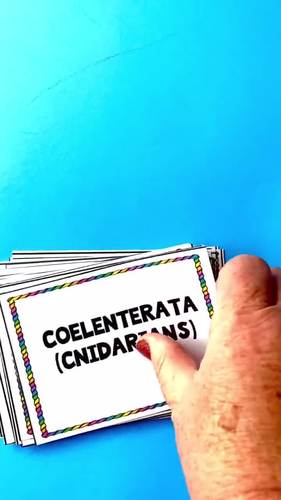 Animal Classification by Phyla | Matching Game Cards for MS-LS1-4 ...