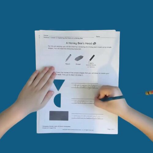 Draw a Honey Bee Head Art Project by EARTHWARD EDUCATION | TPT