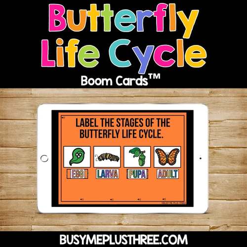 Butterfly Life Cycle BOOM CARDS™ Science Digital Learning | TPT