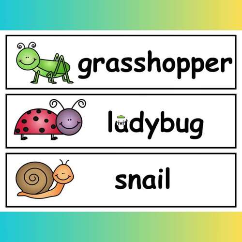 Insects PreK Activities Bundle - 5 activities included | TPT