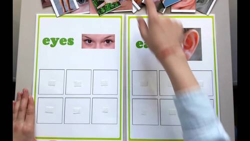 BODY PARTS Matching Non-Identicals Picture Cards Autism Sped Sorting ...