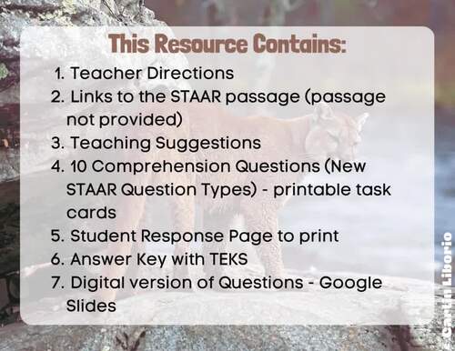 Eng. I-Reading Comprehension-Fiction-STAAR New Question Types-Set #3-Emory