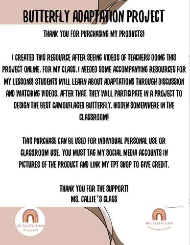 Butterfly Adaptation Project- Camouflage Activity by Ms Callies Class