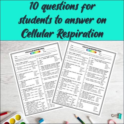 Cellular Respiration Christmas Color by Number | Science Biology Activity