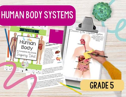 Grade 5 Ontario Science - Human Health and Body Systems Unit and ...