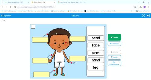 Parts of the Body Boom Cards | Science Digital Activity by Ms Herraiz