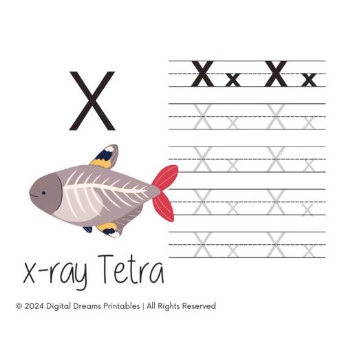 Tracing Alphabet Letters Practice X for X-Ray Tetra Booklet Uppercase ...