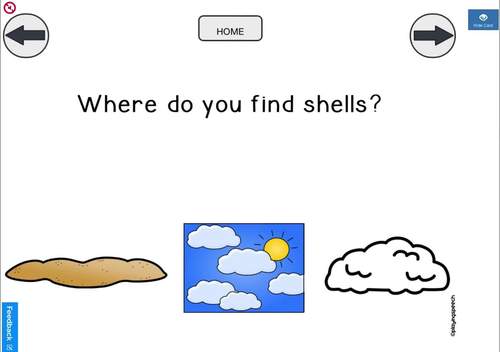 Beach Theme Early Language BOOM CARDS for Speech Therapy Distance Learning