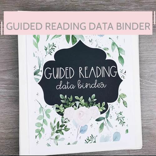 Small Group Data Binder- Kindergarten and First Grade | TpT