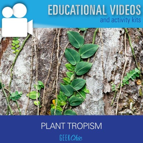 Plant Science Tropism Phototropism Hydrotropism & More Video & Activities!