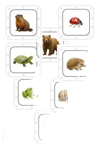 Hibernating Animals Lacing Cards | Fine Motor Activities for Preschool ...