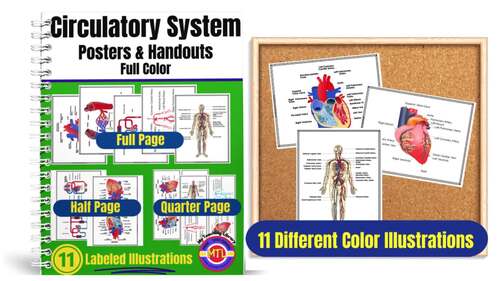 Circulatory System | Posters and Handouts by My Teaching Library