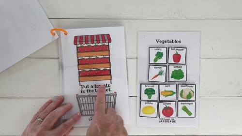 Grocery Shopping for Vegetables Interactive Mini Book with Choice Board