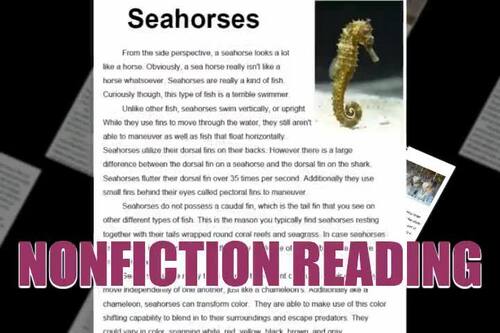 Nonfiction Reading Comprehension Passages and Questions Bundle Grade 6 ...