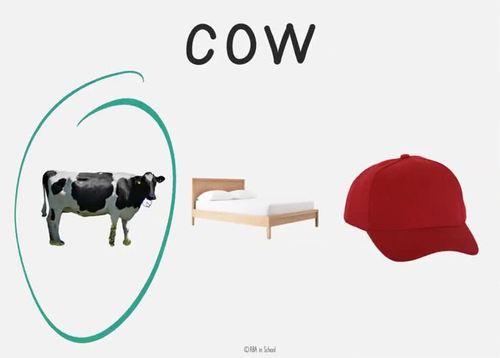 Functional Reading Early Literacy Activity DIGITAL ABLLS Q5 Match Words