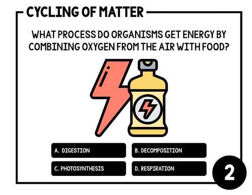 Cycling of Matter in Ecosystems Science Task Cards- Printable and Digital