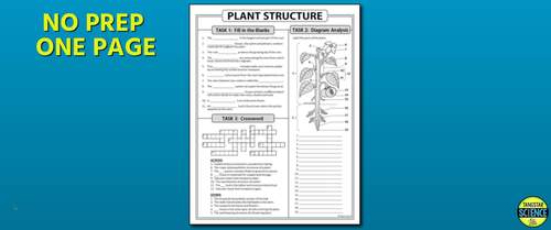 Plant Structure Homework Review Worksheet, Test Prep | Print & Distance ...