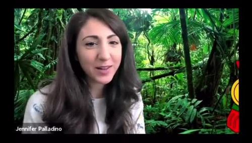 Animal Alphabet Train GREEN SCREEN ACTIVITY by Welcome to Words | TPT