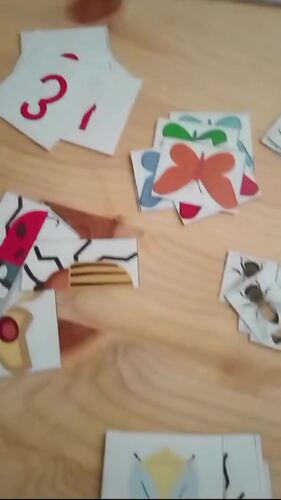 Preschool Busy Book Insects Toddler activities Bugs Insectos Quiet