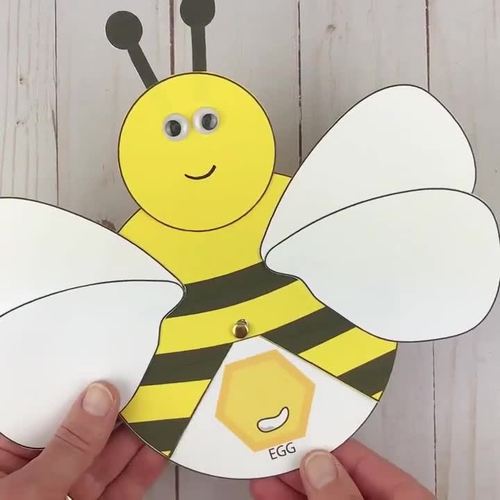 Spring Life Cycle Craft Bundle: Bee, Butterfly, Frog and Bird Spinners