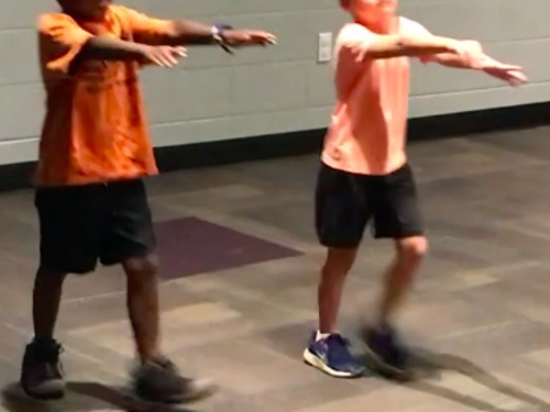 Animal Walks Motor Planning telehealth occupational physical therapy ...