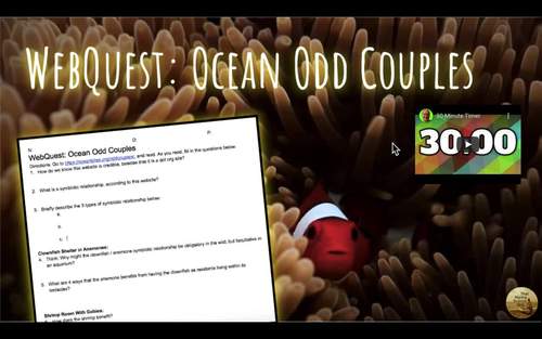 At Home Lesson: WebQuest Symbiotic Relationships (Ocean Odd Couples) w/Key