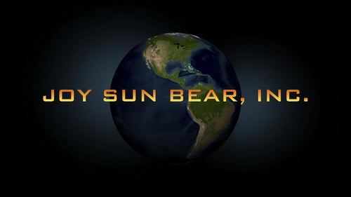 Classroom Guide for The Adventures of Joy Sun Bear-The Blue Amber of ...