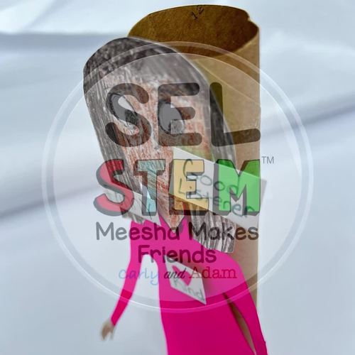 Meesha Makes Friends Social Awareness SEL Activity and Read Aloud STEM ...