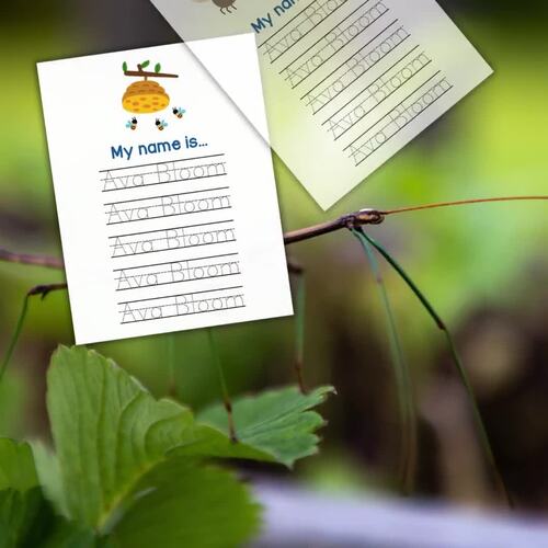 Editable name writing practice,Name tracing editable,Hand writing,Bug ...