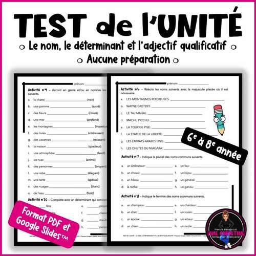 TEST I le nom I le déterminant I l'adjectif qualificatif I French Grammar