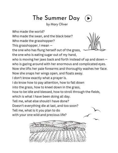 The Summer Day. Mary Oliver. Poetry. Analysis. Reflection. Writing ...