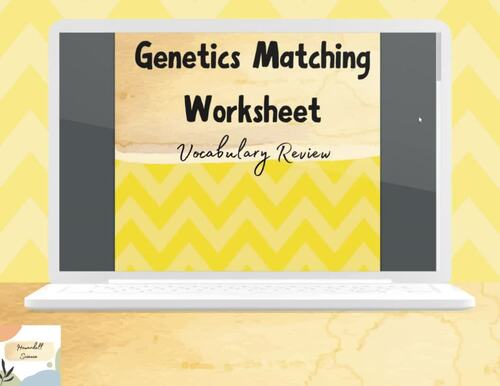 Genetics Vocabulary Match: Engaging Worksheet for Key Terms | TPT