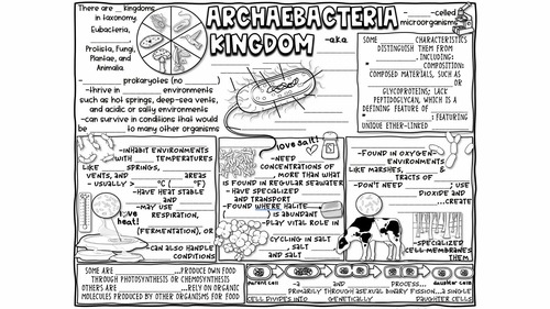 Archaebacteria (Archaea) Kingdom Doodle Notes & Quizzes (PDF and Google ...
