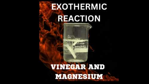 Chemistry Exothermic Reaction Magnesium and Vinegar by The Lesson Pony