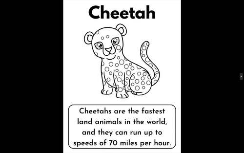 Wild Animals Worksheets. let's learn about Animals, read facts & color ...