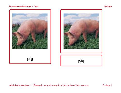 Farm Animal 3 Part Cards Montessori Matching Task Memory Vocabulary