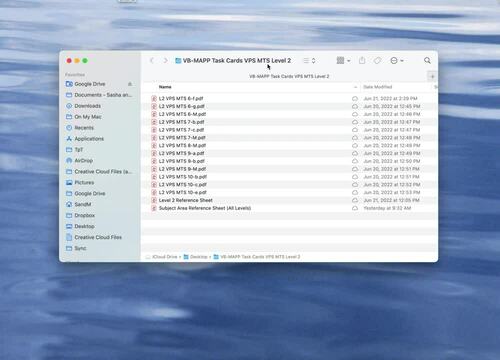 VB-MAPP Task Cards: Visual Perceptual Skills & Match to Sample Level 2