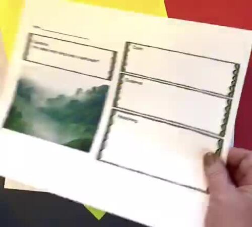 10 Rainforest Science Writing Prompts – CER Graphic Organizers & Bell ...
