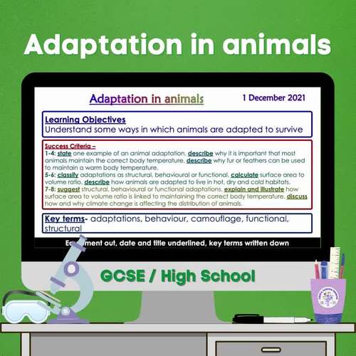 Adaptation in animals (GCSE) by CMGs Science lessons | TPT