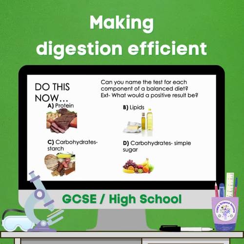 Making digestion efficient (GCSE) by CMGs Science lessons | TPT