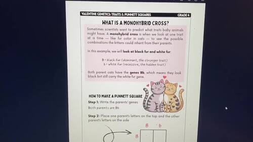 Valentine’s Day Genetics, Intro to Traits, Punnett Squares, seasonal ...