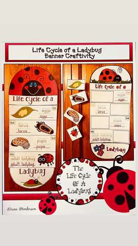Life Cycle of a Ladybug Craft by Teach With Me | TPT