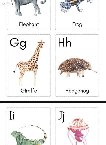 Animal Alphabet Flash Cards by Little Rainbow School House | TPT