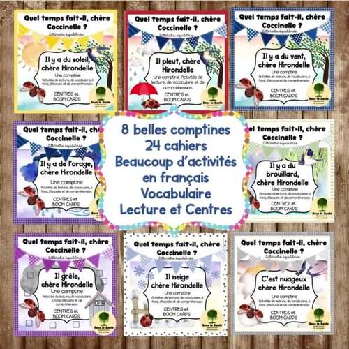 Quel temps fait-il Coccinelle ? IL GRÊLE full literacy unit and 10 centres