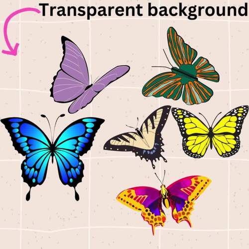 6 Rainbow Butterflies JPG PNG transparent background Clip Art Set ...